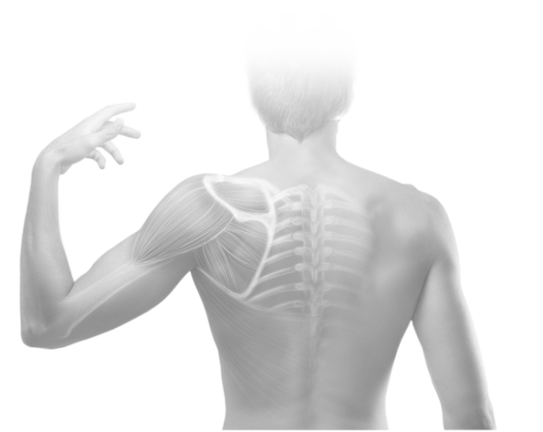 Dr Hugues DEMEZON - Clinique Épaule Bordeaux